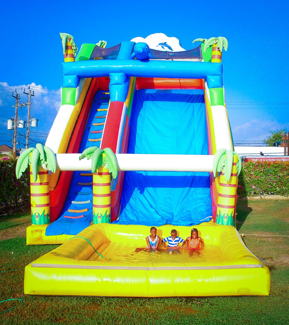 30 Ft Tropical Inflatable Water Slide w/ Pool