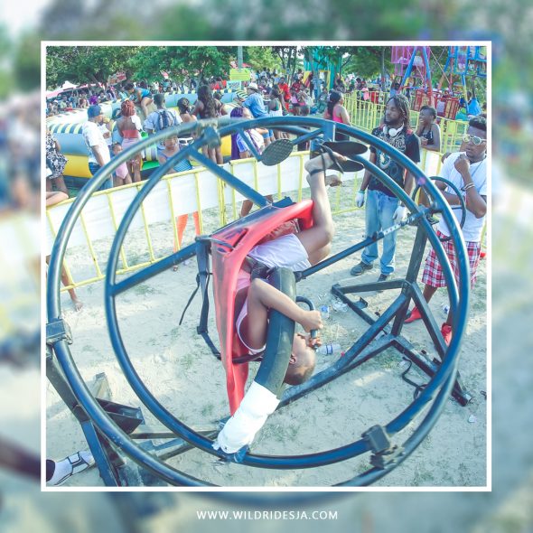 Mechanical – Wild Rides Party Rentals