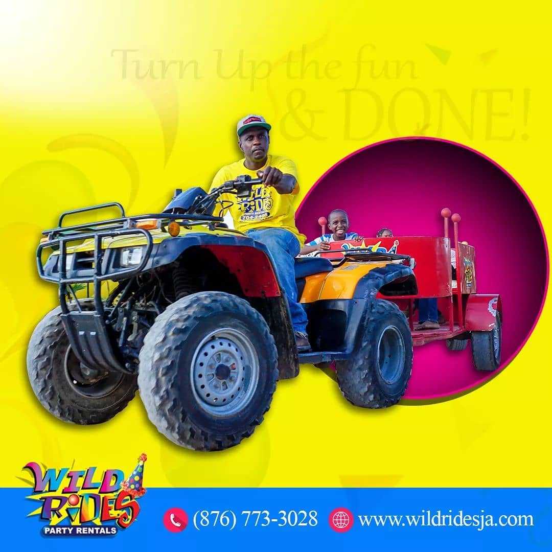 Birthday celebrations are way more FUN with Wild Rides Party Rentals ...