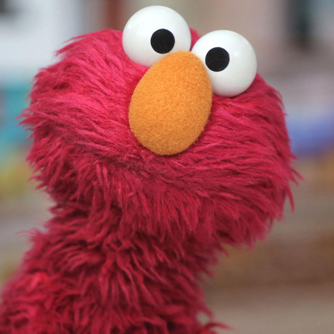 About Us - Wild Rides Party Rentals